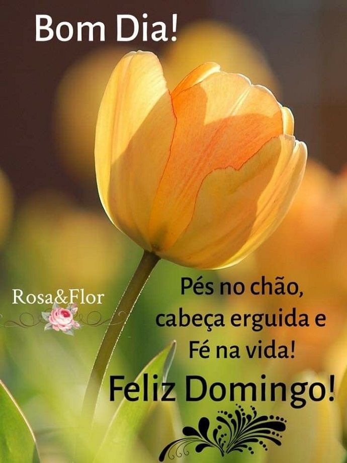 45 Ideias de Bom Dia Domingo Reflexão para Renovar a Semana