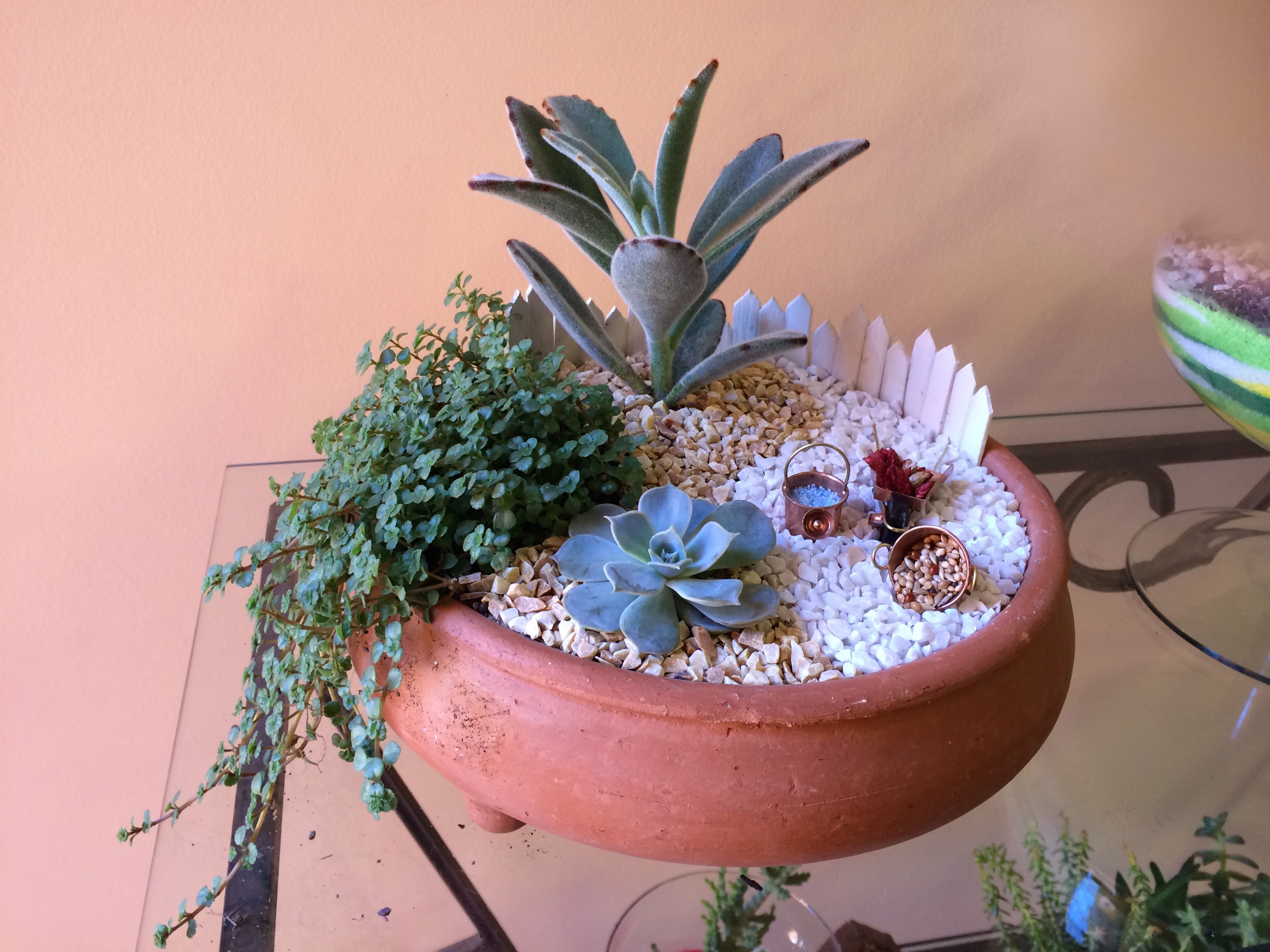 35 Ideias de Jardim Miniatura para Inspirar Seu Cantinho Verde