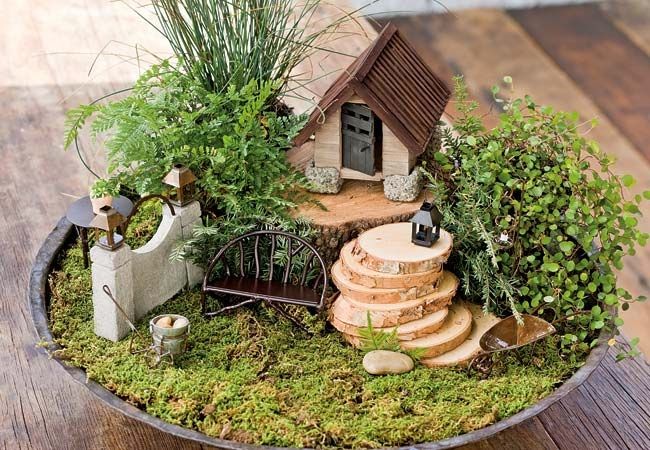 35 Ideias de Jardim Miniatura para Inspirar Seu Cantinho Verde
