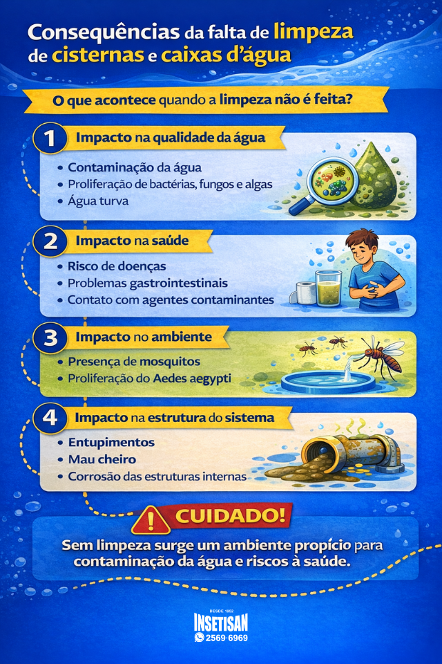 Manutenção da Cisterna: A Cada Quantos Meses Devo Limpar
