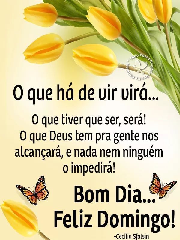 36 Ideias de Mensagem de Bom Dia Domingo para Inspirar